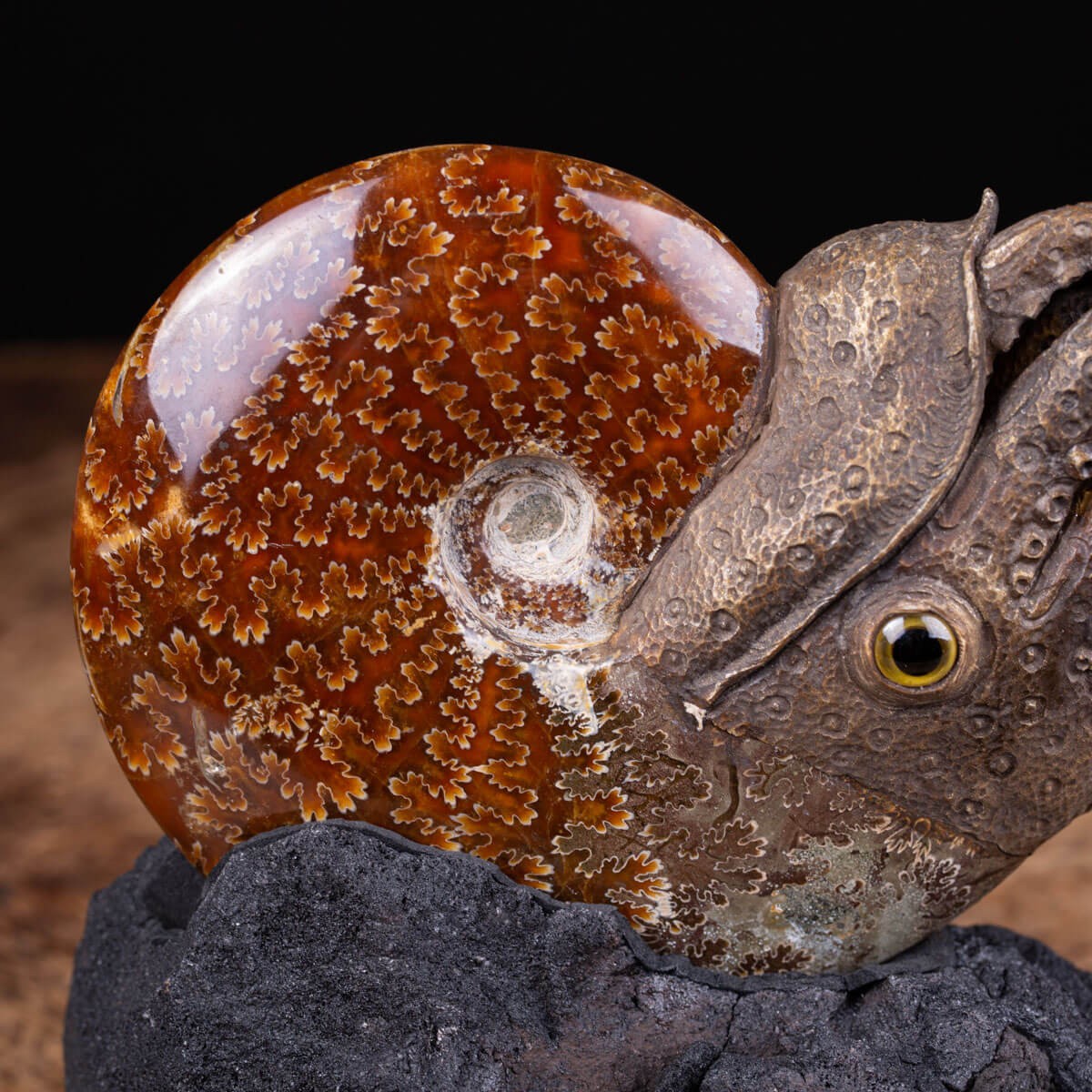 Sculpture d'ammonite avec détails en laiton